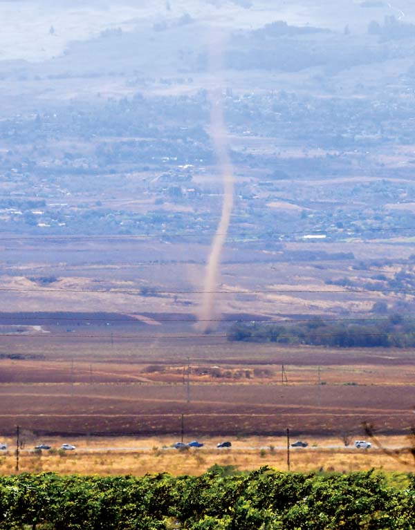 Winds whip up dust devil | News, Sports, Jobs - Maui News